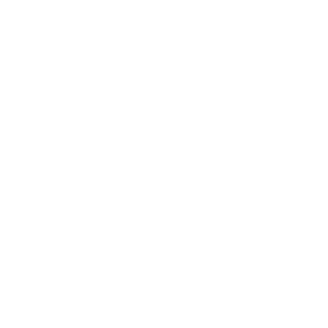 Ray White Property Management